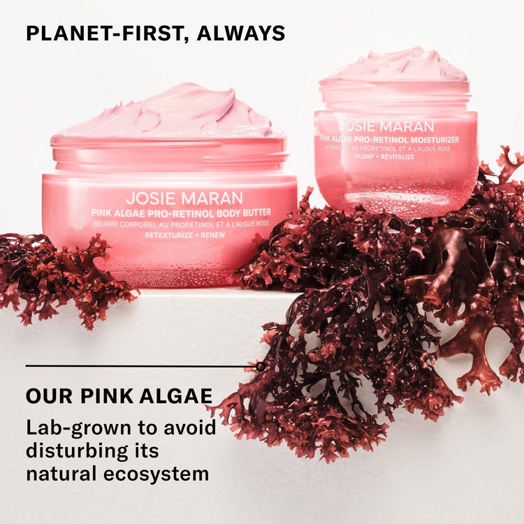 Pink Algae Pro-Retinol Moisturizer – JOSIE MARAN