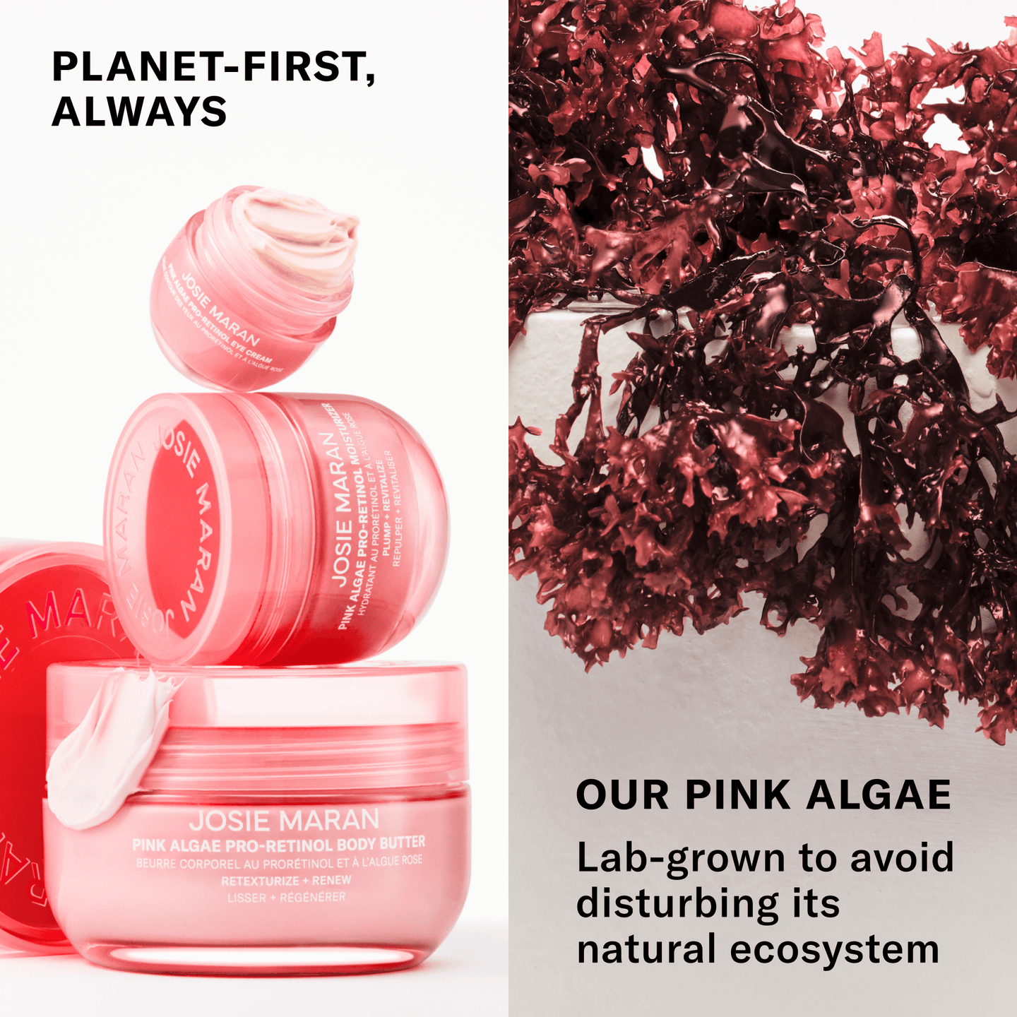 Pink Algae Pro-Retinol Body Butter – JOSIE MARAN