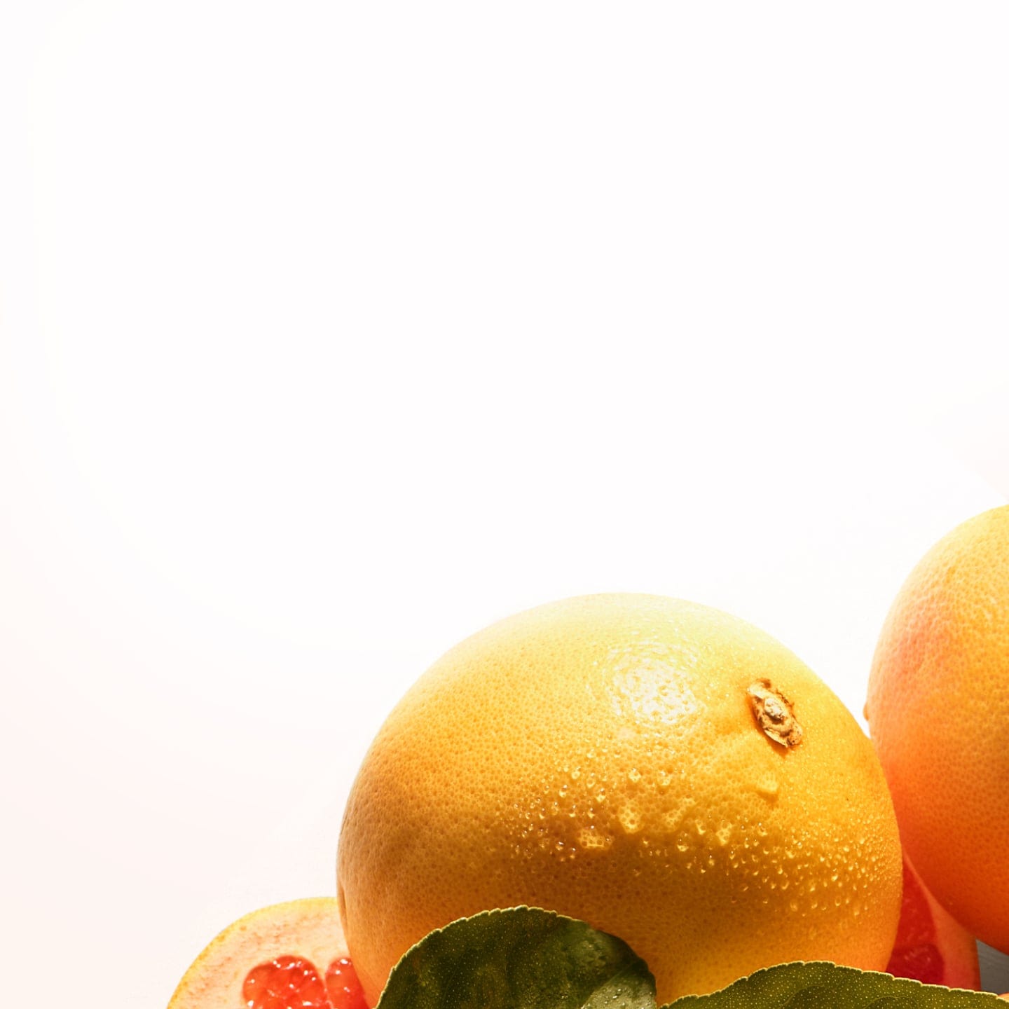 100% Plant-Based Fragrance – Josie Maran